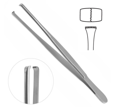 Forceps vs Tweezers: Understanding Their Differences